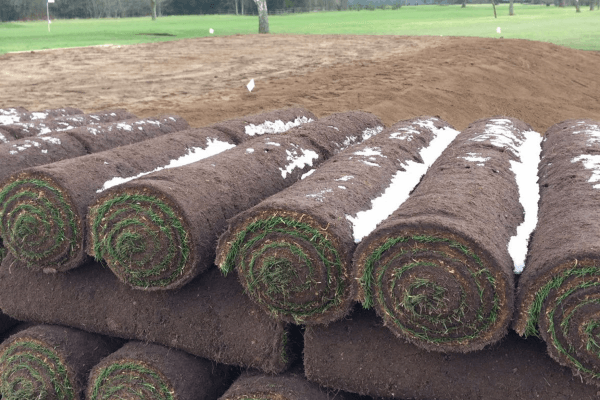 Can You Lay Turf In Winter? | George Davies Turf