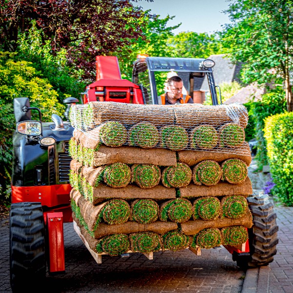 Trident Turf | Buy Quality Trident Turf Online Today - George Davies Turf