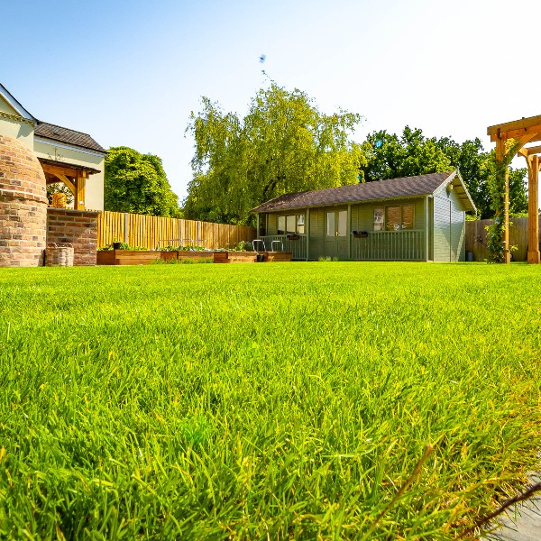 Trident Turf | Buy Quality Trident Turf Online Today - George Davies Turf