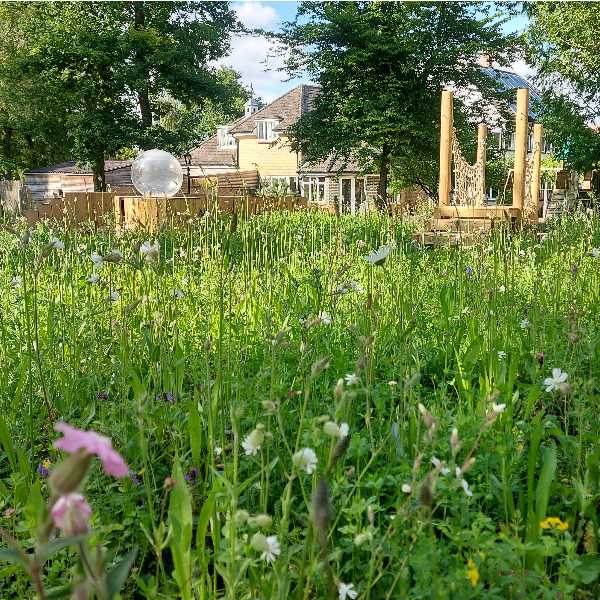 Wild Flower Turf | Buy Quality Wild Flower Turf Online Today - George ...