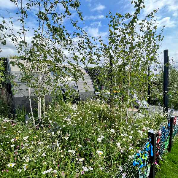 Wild Flower Turf | Buy Quality Wild Flower Turf Online Today - George ...