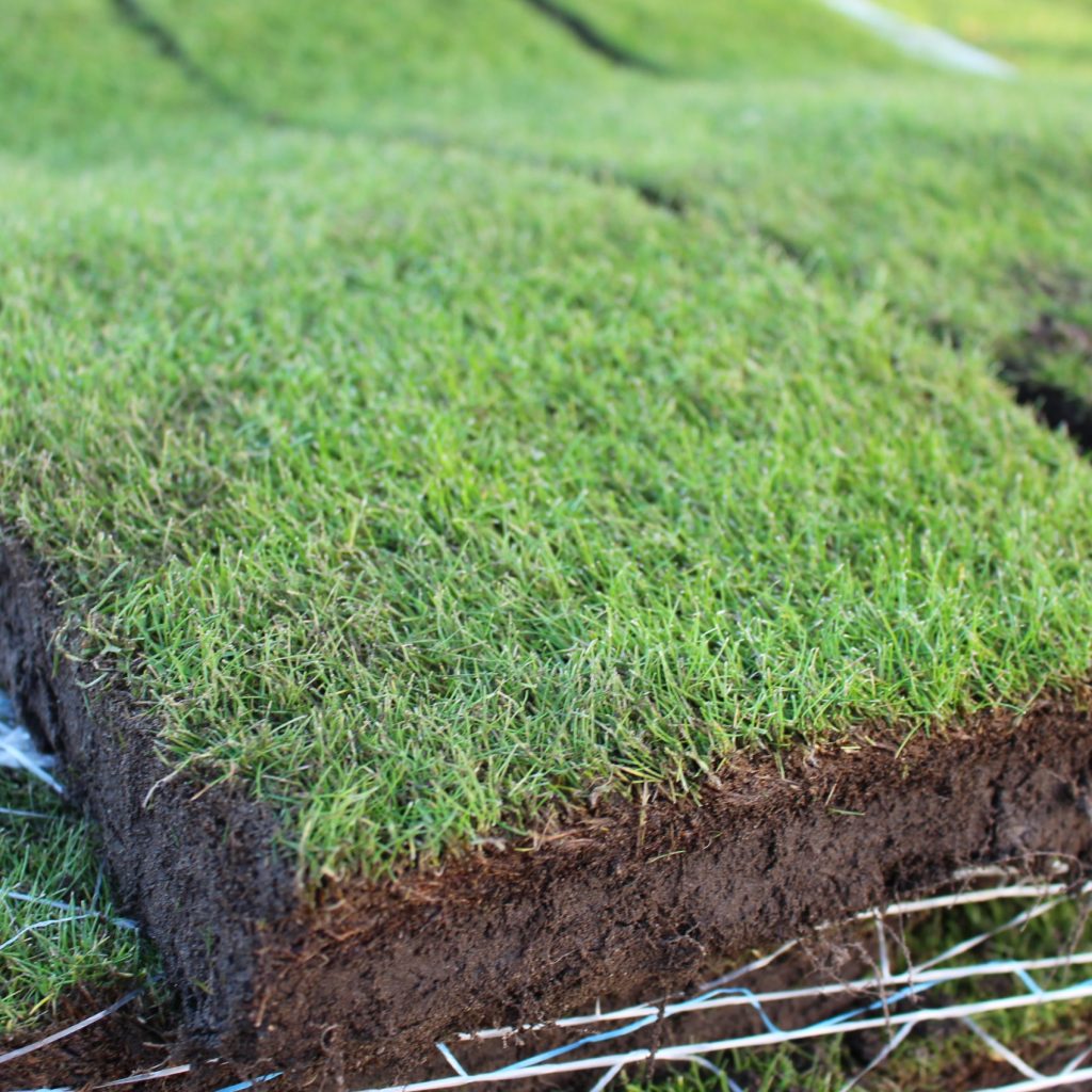 Turf | Premium Quality Garden Turf | George Davies Turf