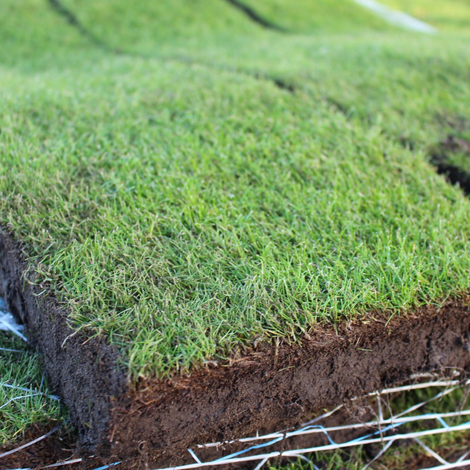 Turf | Premium Quality Garden Turf | George Davies Turf